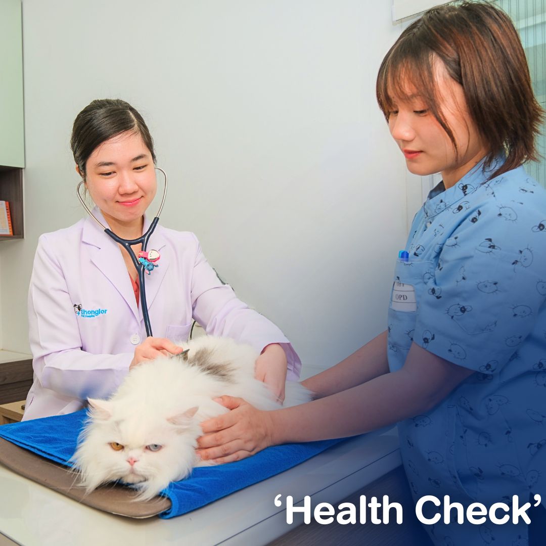 General Health Check-ups | Thonglor Pet Hospital