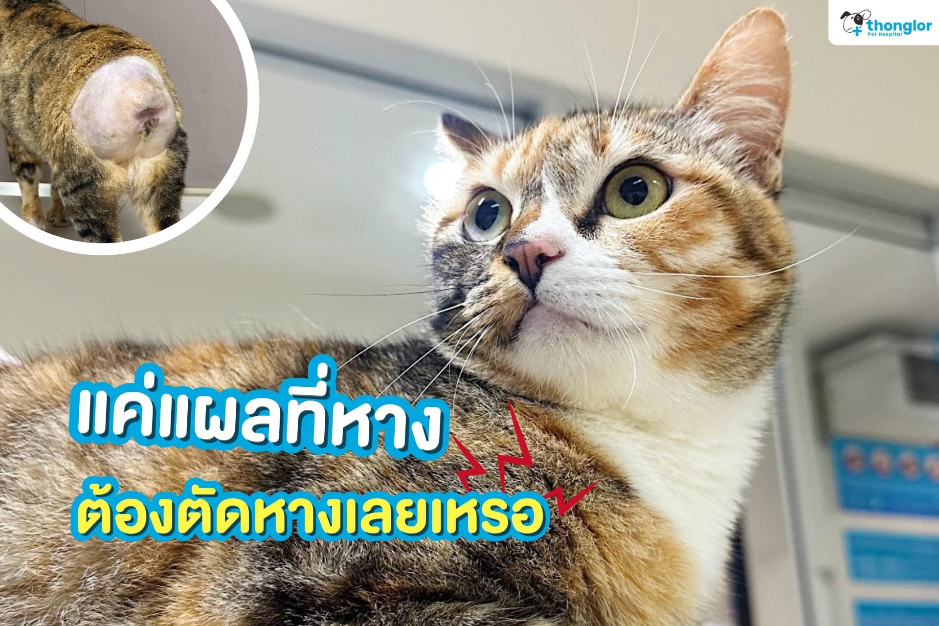 แค่แผลที่หาง ต้องตัดหางเลยเหรอ?